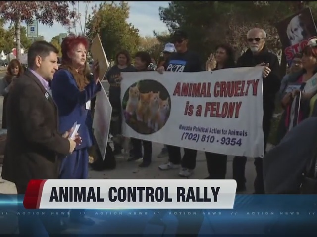 Boulder City euthanized healthy pets?