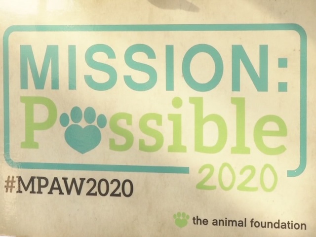 Animal Foundation announces plan to save pets