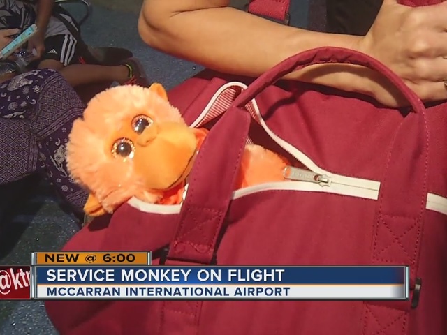TSA says monkeys, other animals up to airline
