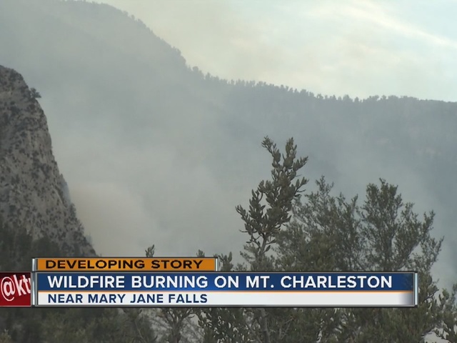 October Fire caused by illegal campfire