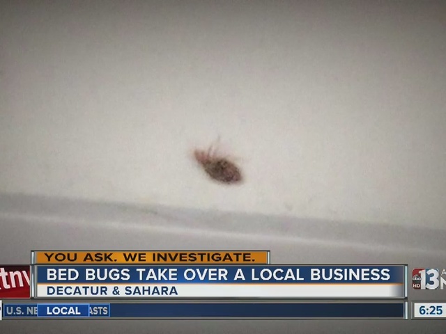 UPDATE: Call center doing more to treat bed bugs