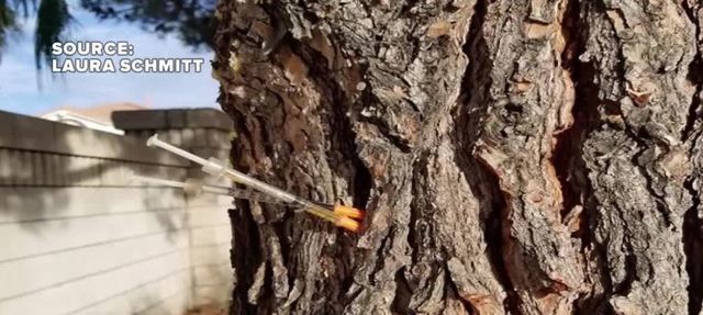 Hypodermic needles stuck in neighborhood tree prompts mom to act - KTNV ...