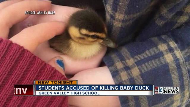 UPDATE: Police arrest 3 Henderson teens suspected of killing duck in ...