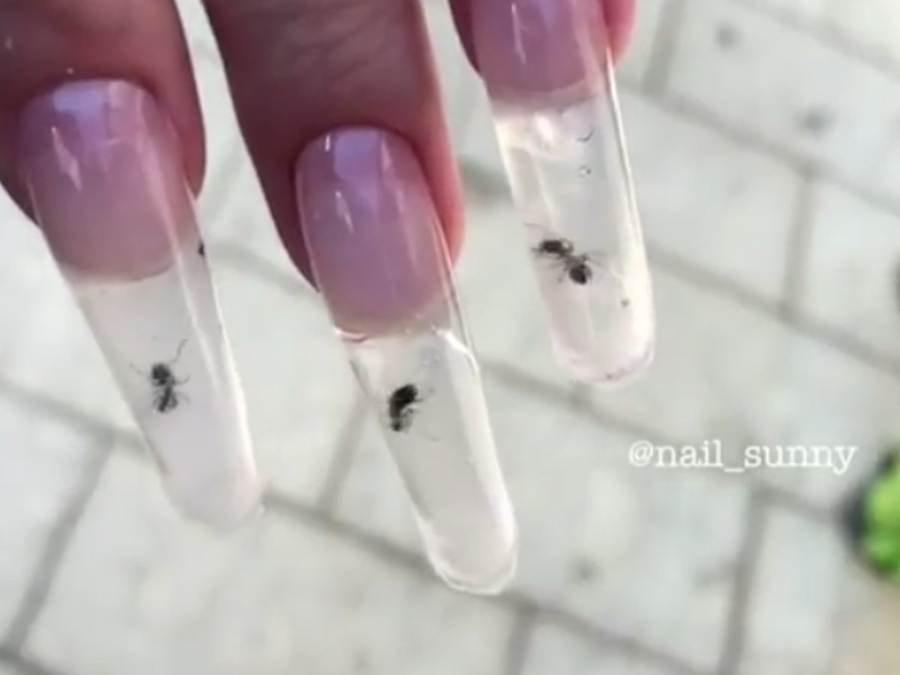 Russian salon putting live ants in fake nails - KTNV.com Las Vegas